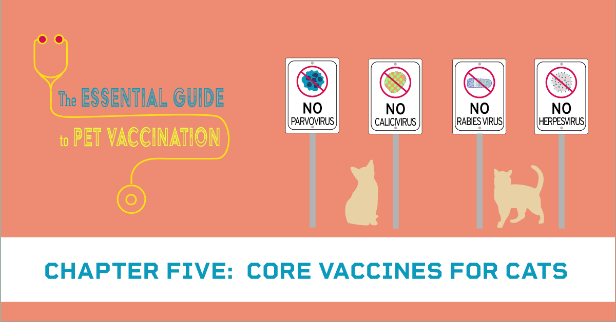 Cat Core Vaccines